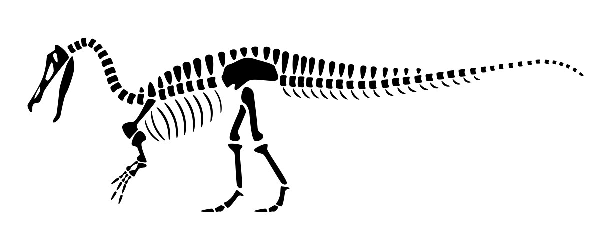 Apatosaurus skeleton silhouette dinosaurs side Vector Image