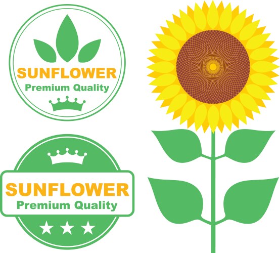 Sunflower Vector Images (over 53,000)