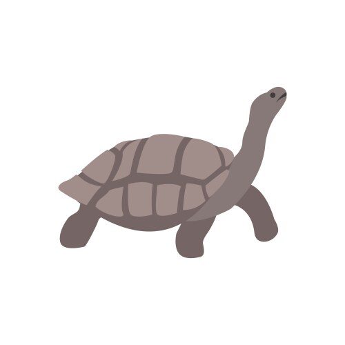 Tortoise Vector Images (over 14,000)