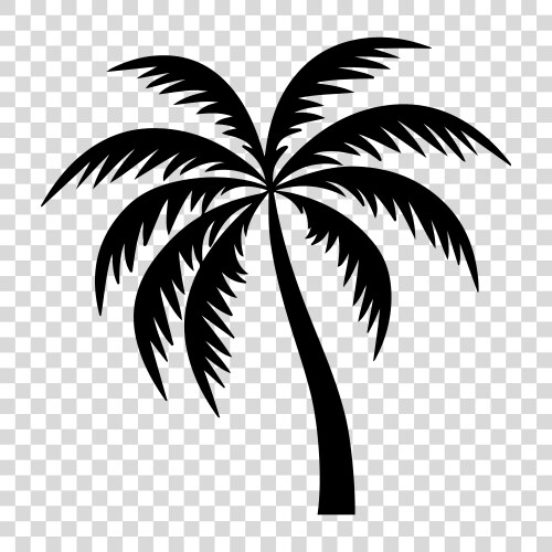 Miami Palm Tree Vector Images (over 3,900)