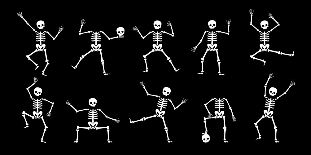 Islam dance sufi dervishes religion whirling Vector Image