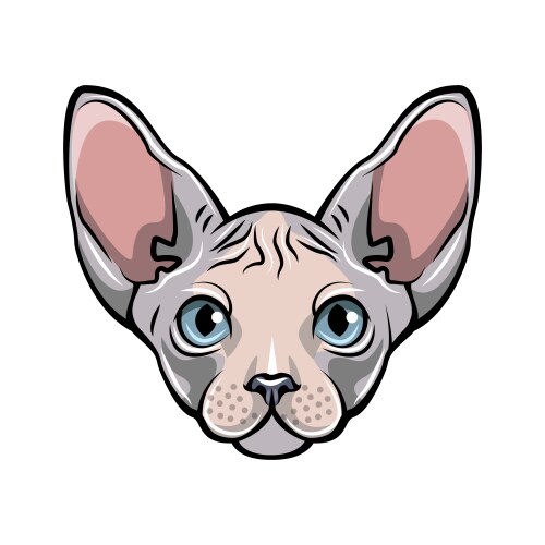 Sphynx Cat Vector Images (over 1,300)