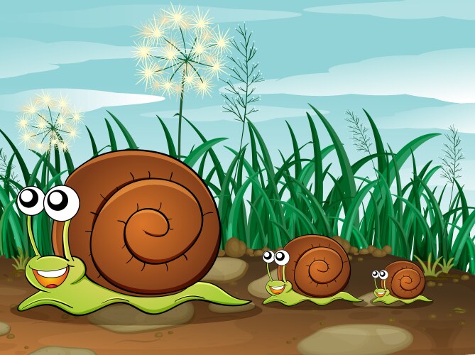 A slow snail Royalty Free Vector Image - VectorStock