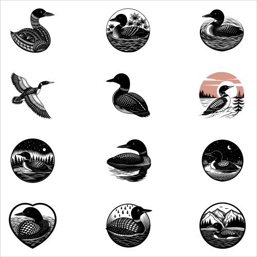 Loon Vector Images & Graphics for Commercial Use | VectorStock
