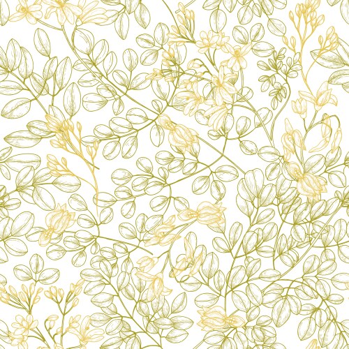 Moringa Vector Images (over 540)