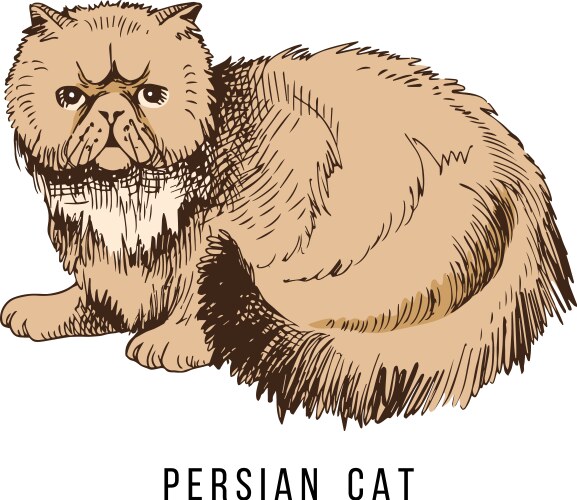 Persian Vector Images (over 54,000)
