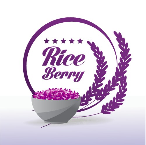 Rice2 Royalty Free Vector Image - VectorStock