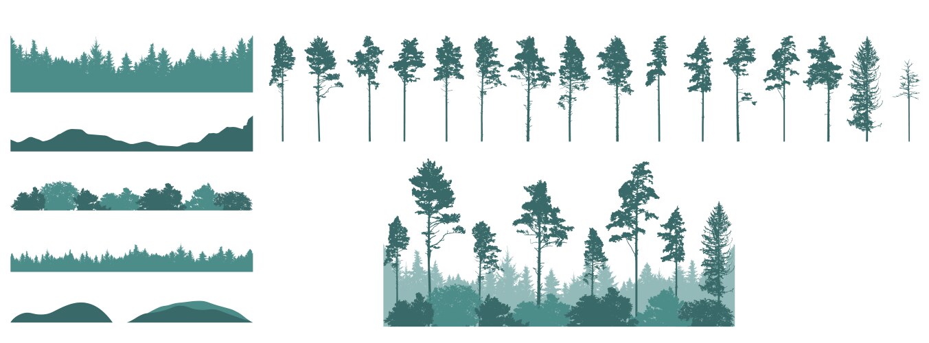 Set of forest element pine trees beautiful Vector Image