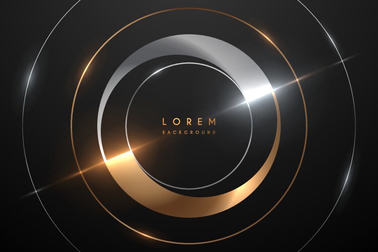 Abstract black circle background with gold lines Vector Image