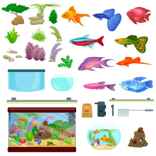 Cartoon Fish Tank Vector Images (over 2,900)