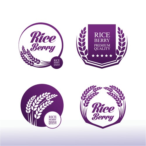 Rice2 Royalty Free Vector Image - VectorStock