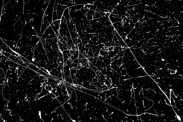 White paint splatter Royalty Free Vector Image