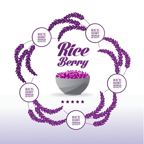 Rice2 Royalty Free Vector Image - VectorStock