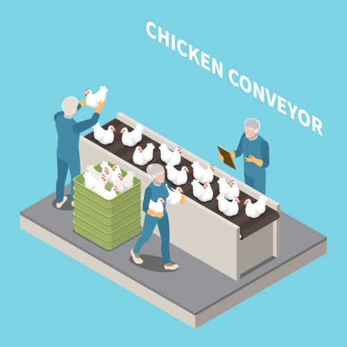 Poultry farm isometric flowchart Royalty Free Vector Image