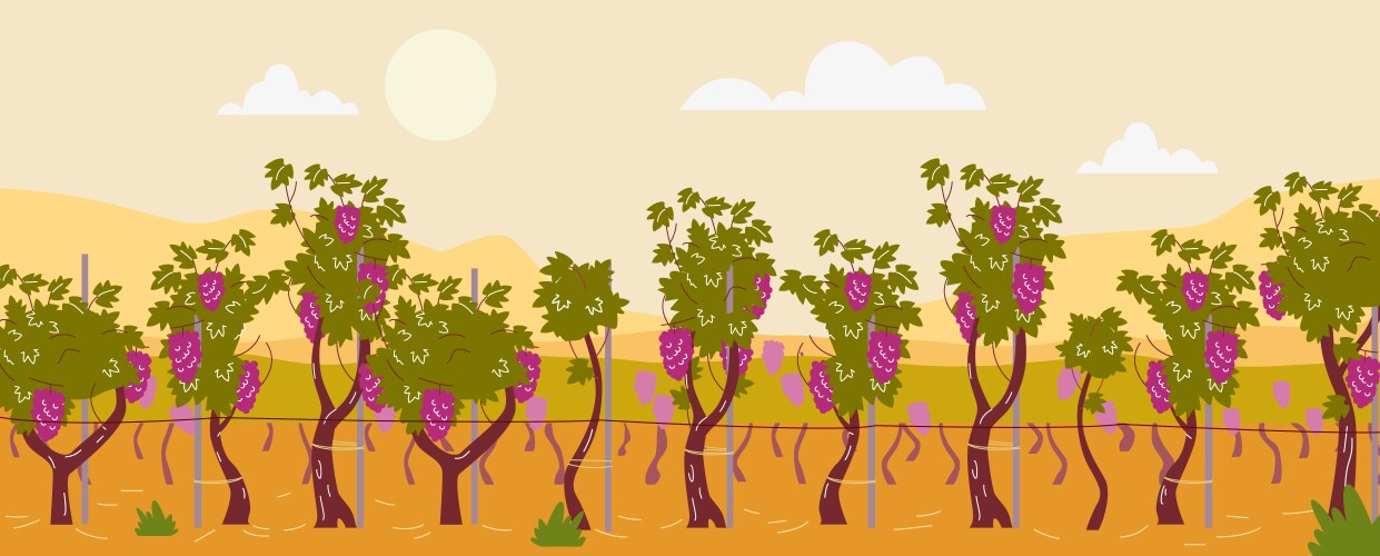 Vineyard worker watering grapevine Royalty Free Vector Image