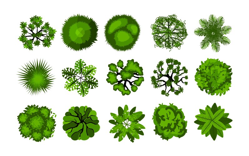 Trees top view for landscape Royalty Free Vector Image