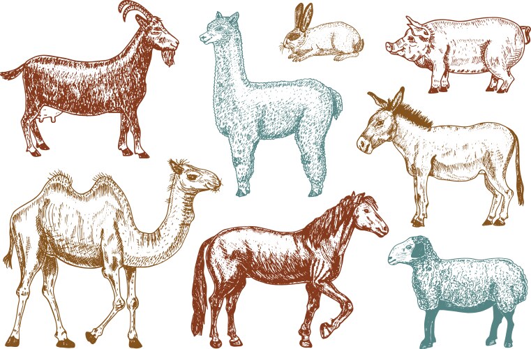 African big five animals and pattern Royalty Free Vector