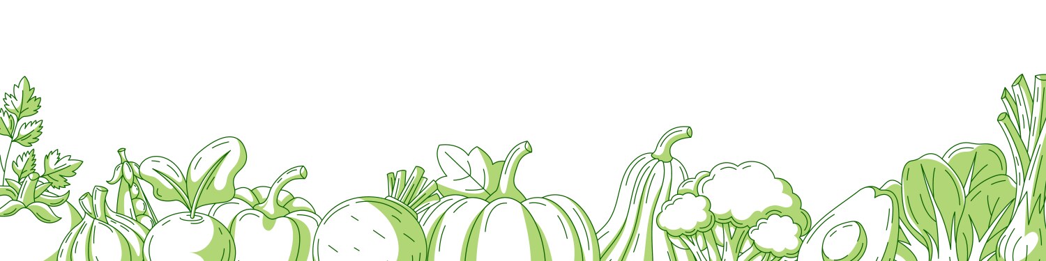 Vegetables background narrow horizontal banner Vector Image