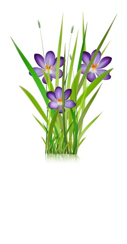 Flower bed icon cartoon style Royalty Free Vector Image