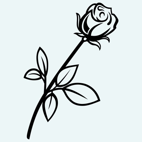 Rose Vector Images (over 290,000)