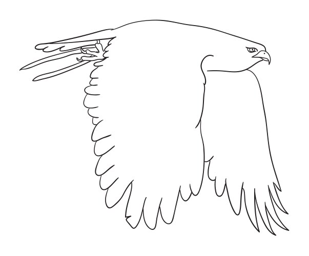 Eagle Line Art Vector Images (over 9,000)