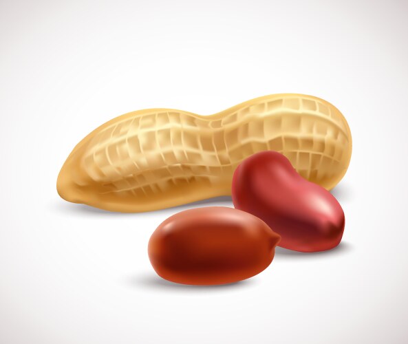 Peanuts Vector Images (over 17,000)