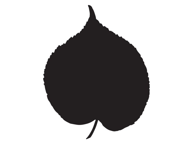 Bodhi leaf silhouette art Royalty Free Vector Image