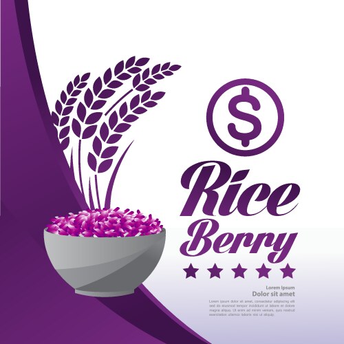 Rice2 Royalty Free Vector Image - VectorStock