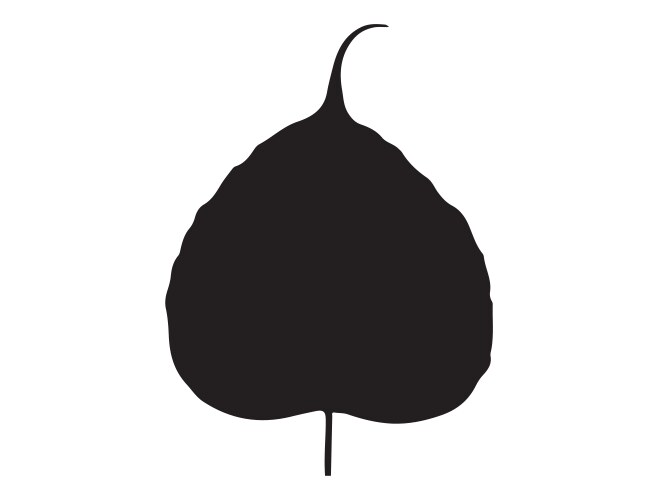 Bodhi leaf silhouette art Royalty Free Vector Image