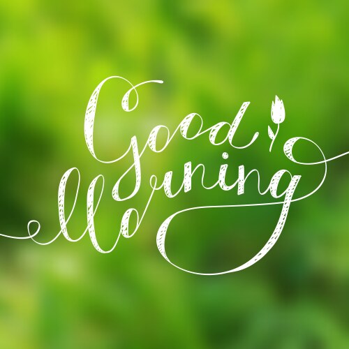 Good morning lettering phrase for postcard banner Vector Image
