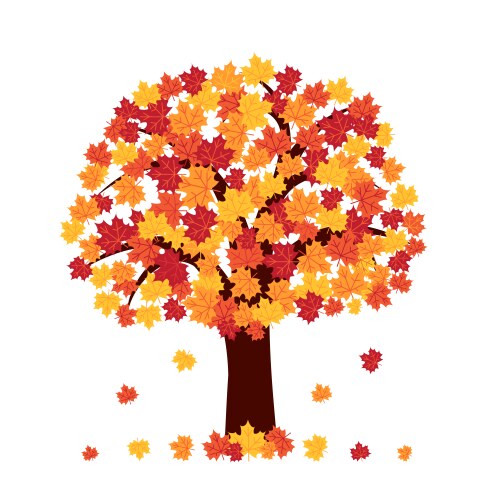 Autumn trees stand on a white background Vector Image