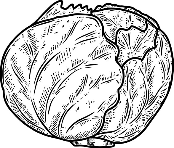 Coles Vector Images (over 1,500)