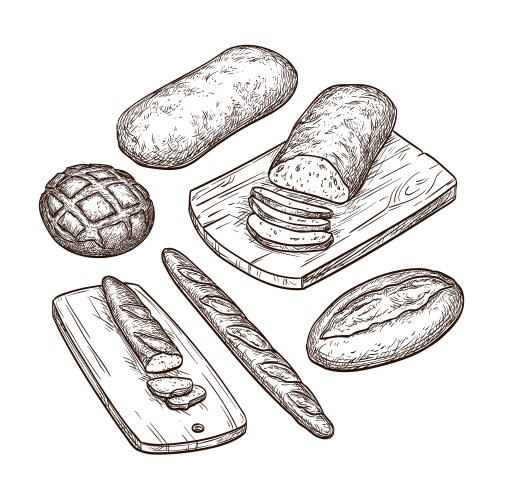 Rustic bread sketch Royalty Free Vector Image - VectorStock