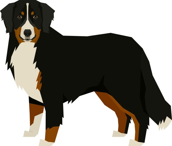 Bernese Vector Images (over 590)
