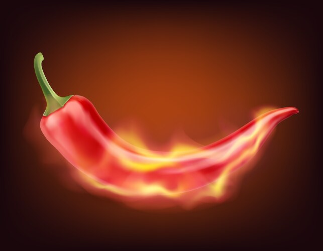 Chilli Vector Images (over 20,000)