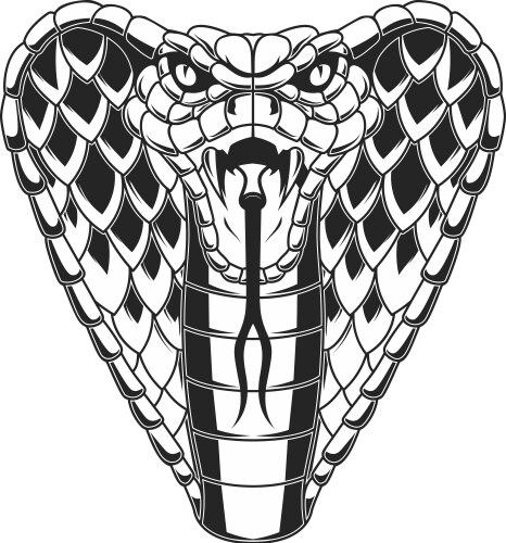 Cobra Vector Images & Graphics for Commercial Use | VectorStock