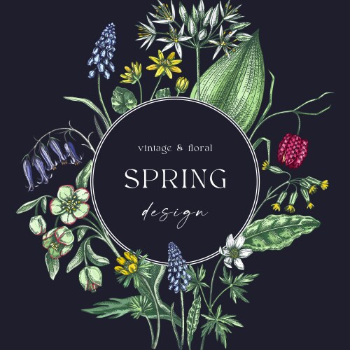 Elegant spring poster design wildflowers print Vector Image