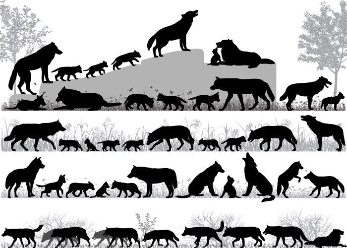 Wolf Pack Vector Images (over 1,200)