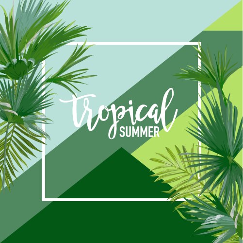 Banner with tropical leaves Royalty Free Vector Image