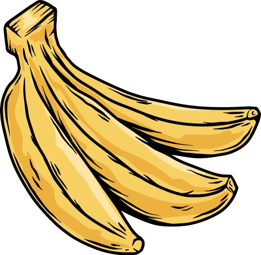 Banana in engraving style design element Vector Image