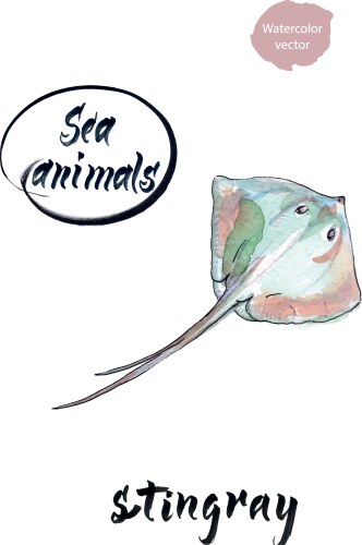 Sea stingray colorful detailed label Royalty Free Vector