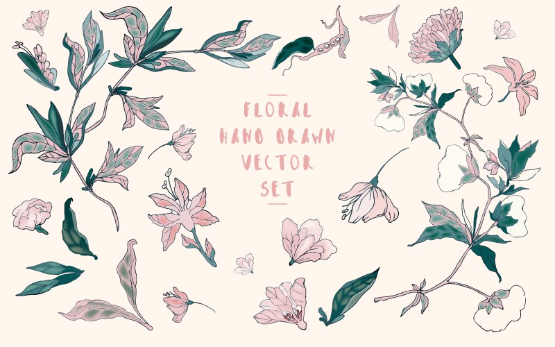 Watercolor floral set - white flowers Royalty Free Vector