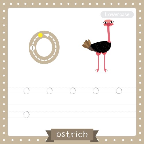 Letter O Flash Cards Vector Images (over 150)