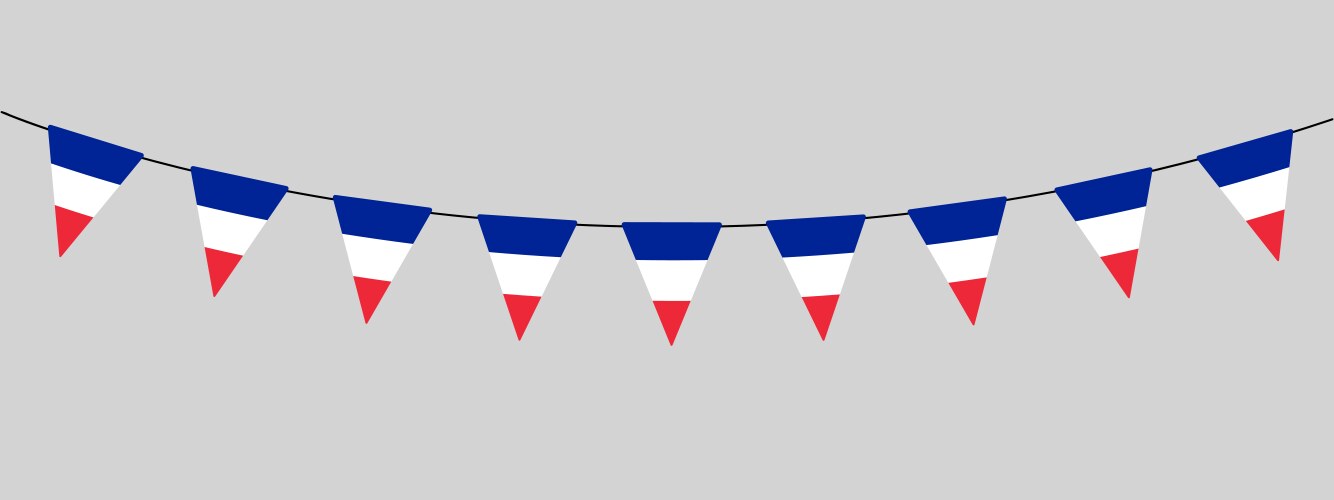 France bunting garland string of triangular flags Vector Image