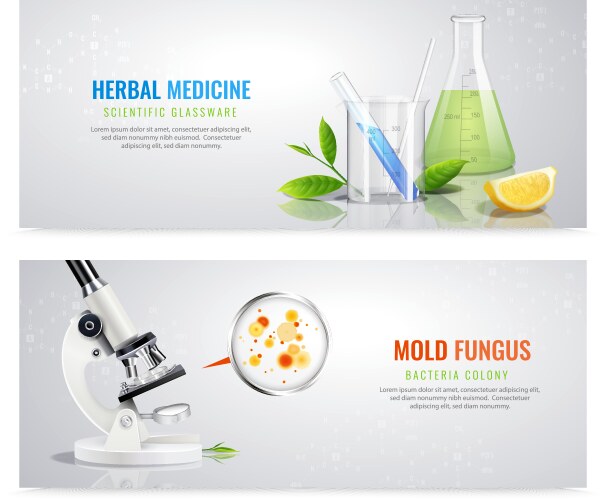Fungus Vector Images (over 37,000)
