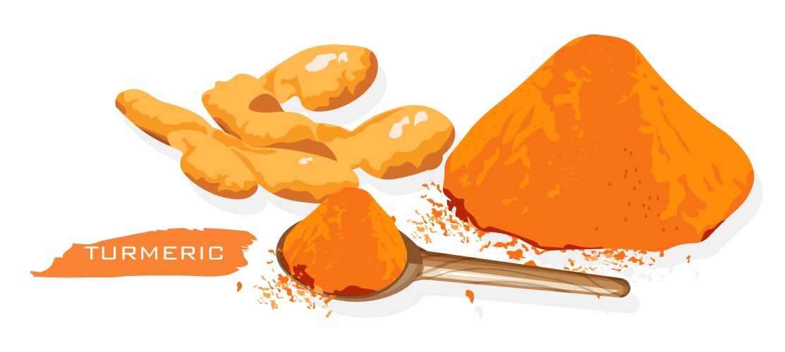 Turmeric Vector Images (over 3,000)
