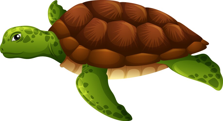 Sea turtle cartoon Vector Images & Graphics for Commercial Use ...