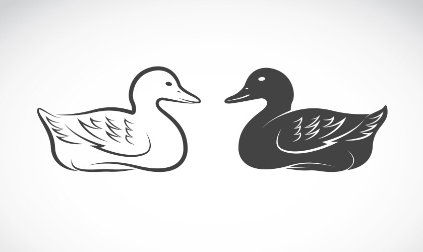 Black and White Duck Vector Images (over 9,300)