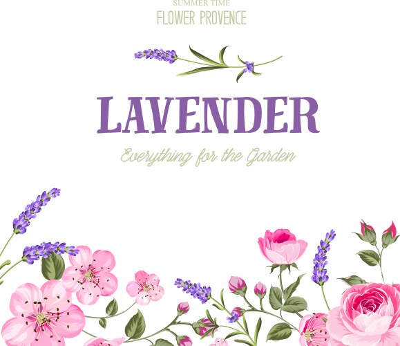 Lavender Vector Images (over 18,000)