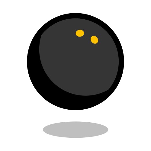 Sport ball fire squash Royalty Free Vector Image